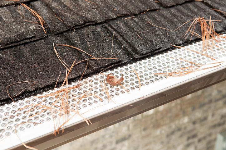 Understanding Gutter Guards and Screens: Their Role in Home Maintenance